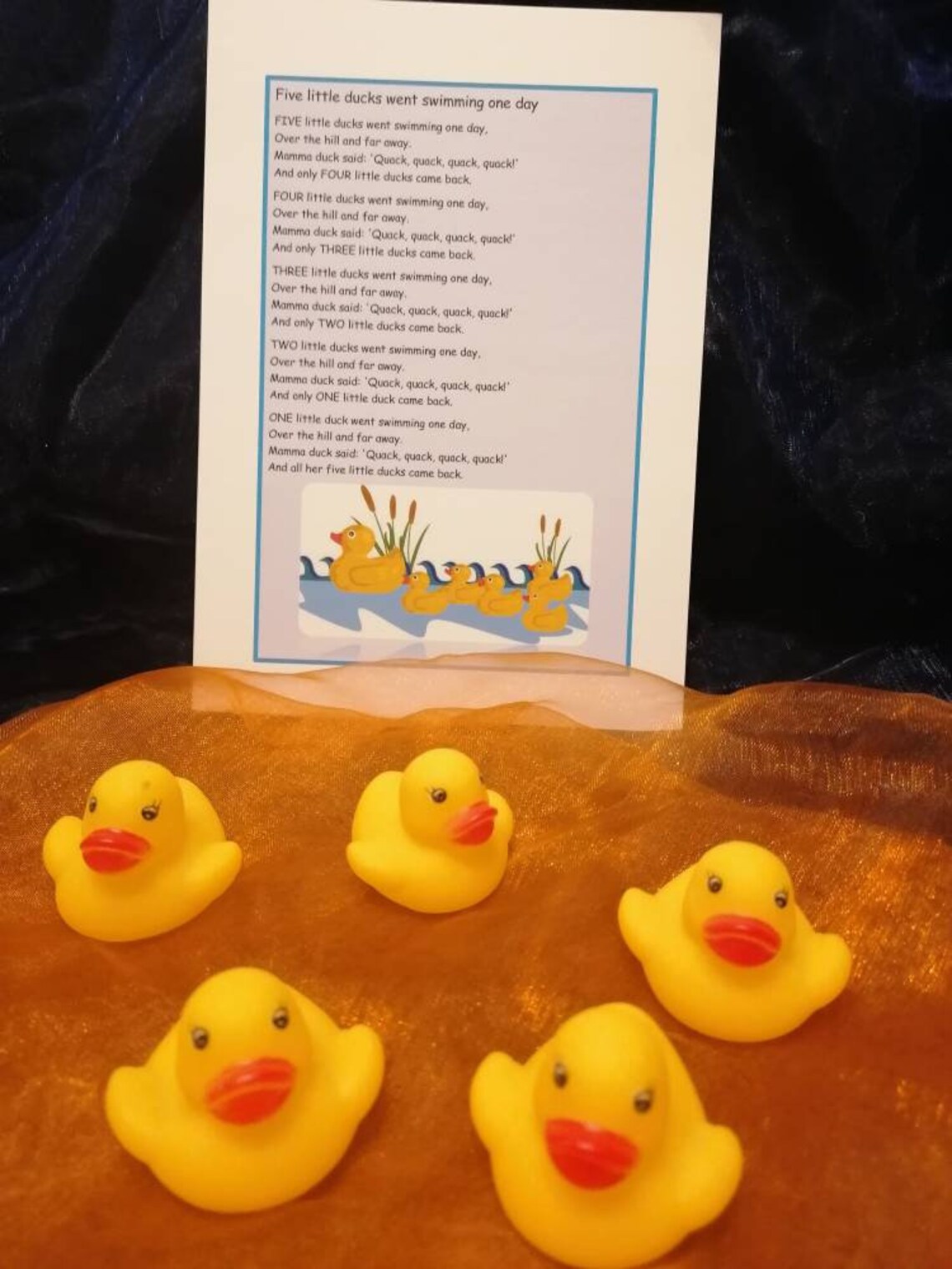 5 Little Ducks Story Sack. - Etsy