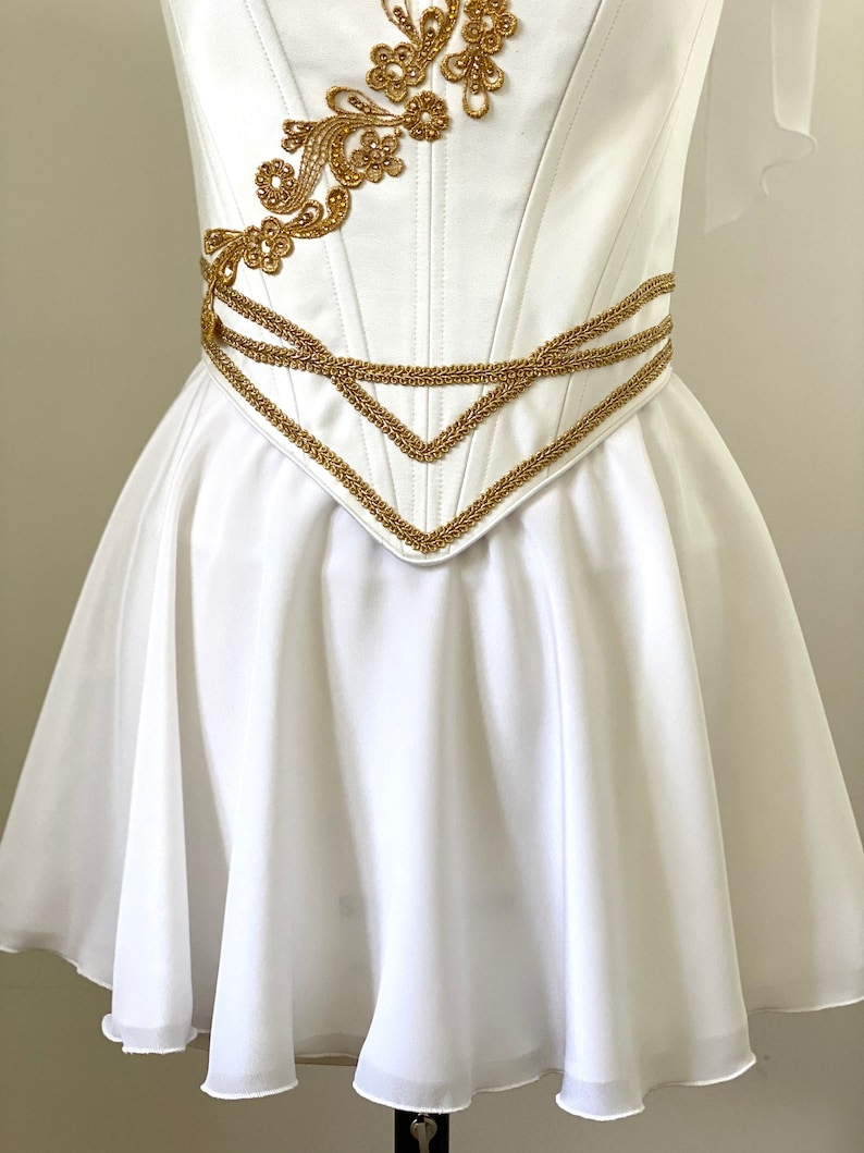 Talisman Professional Ballet Costume - Etsy