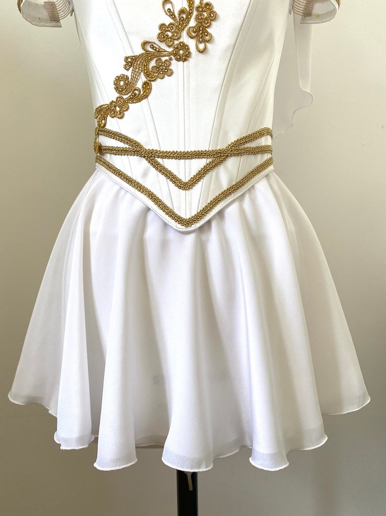 Talisman Professional Ballet Costume - Etsy