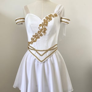 Talisman Professional Ballet Costume - Etsy