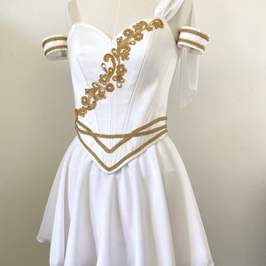 Talisman Professional Ballet Costume - Etsy