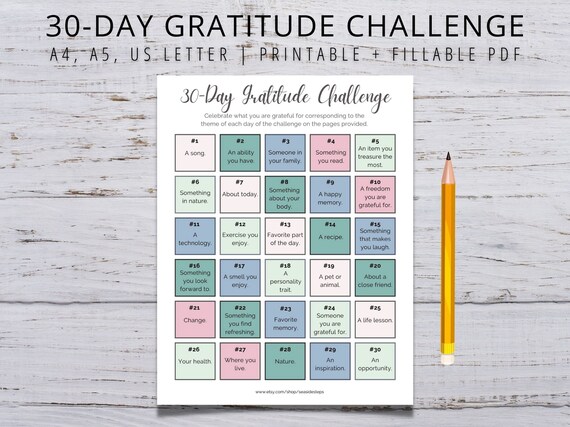 30-day Gratitude Challenge Daily Gratitude Journal | Etsy