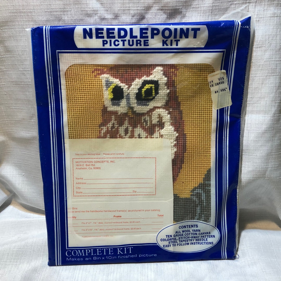 Vintage Needlepoint Picture Owl Craft Kit - Etsy