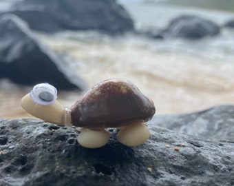 Led Light up Turtle | Etsy