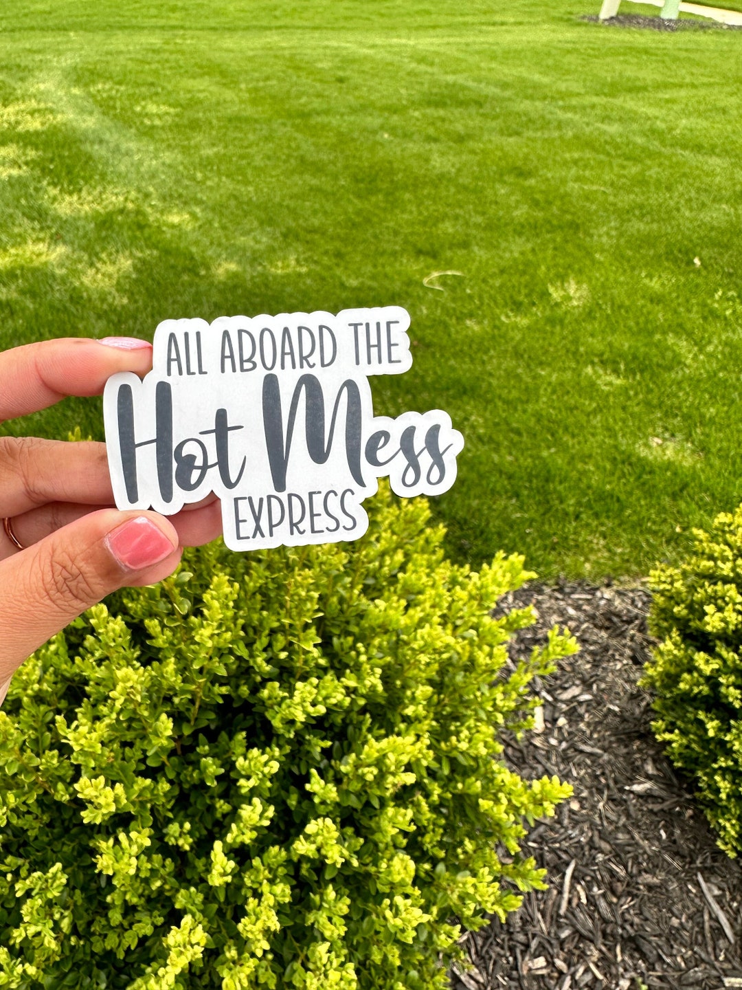 Hot Mess Express, Flexible Magnet, Drink Water, All Aboard, 40oz ...