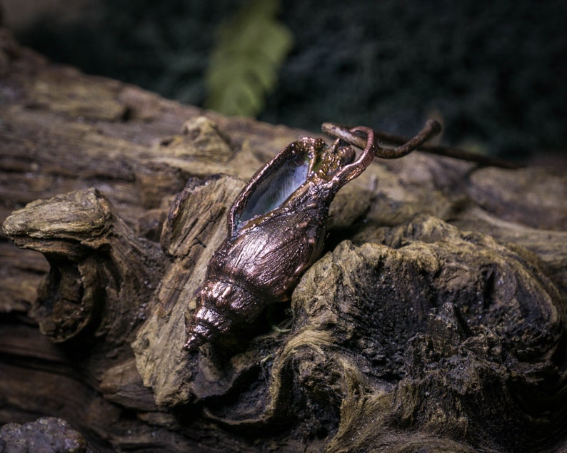 Shell Necklace Sea Witch Talisman Mermaid Amulet Water - Etsy