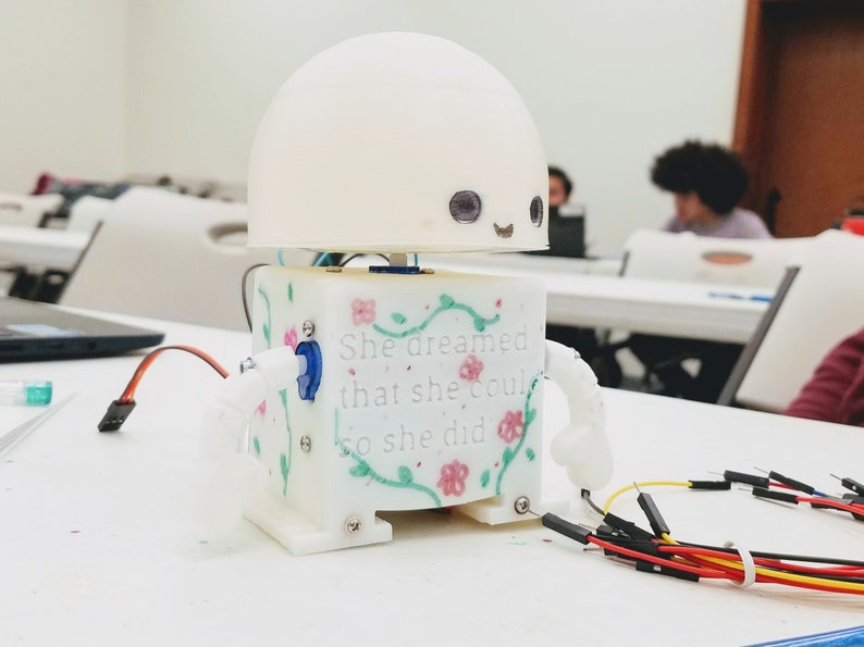 Custom 3-D Printed STEM STEAM Robot Kit to Learn Arduino Coding ...