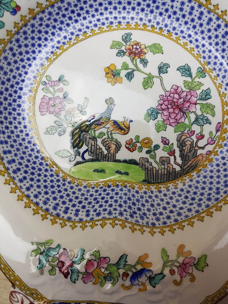 Antique 1916 Copeland Spode Peacock Pattern Shell Shaped Bowl - Etsy