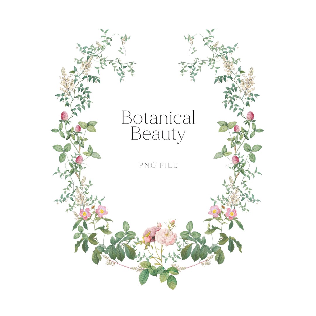 Botanical Frame Clip Art PNG Flowers Leaves Foliage Border Leaf Rose ...