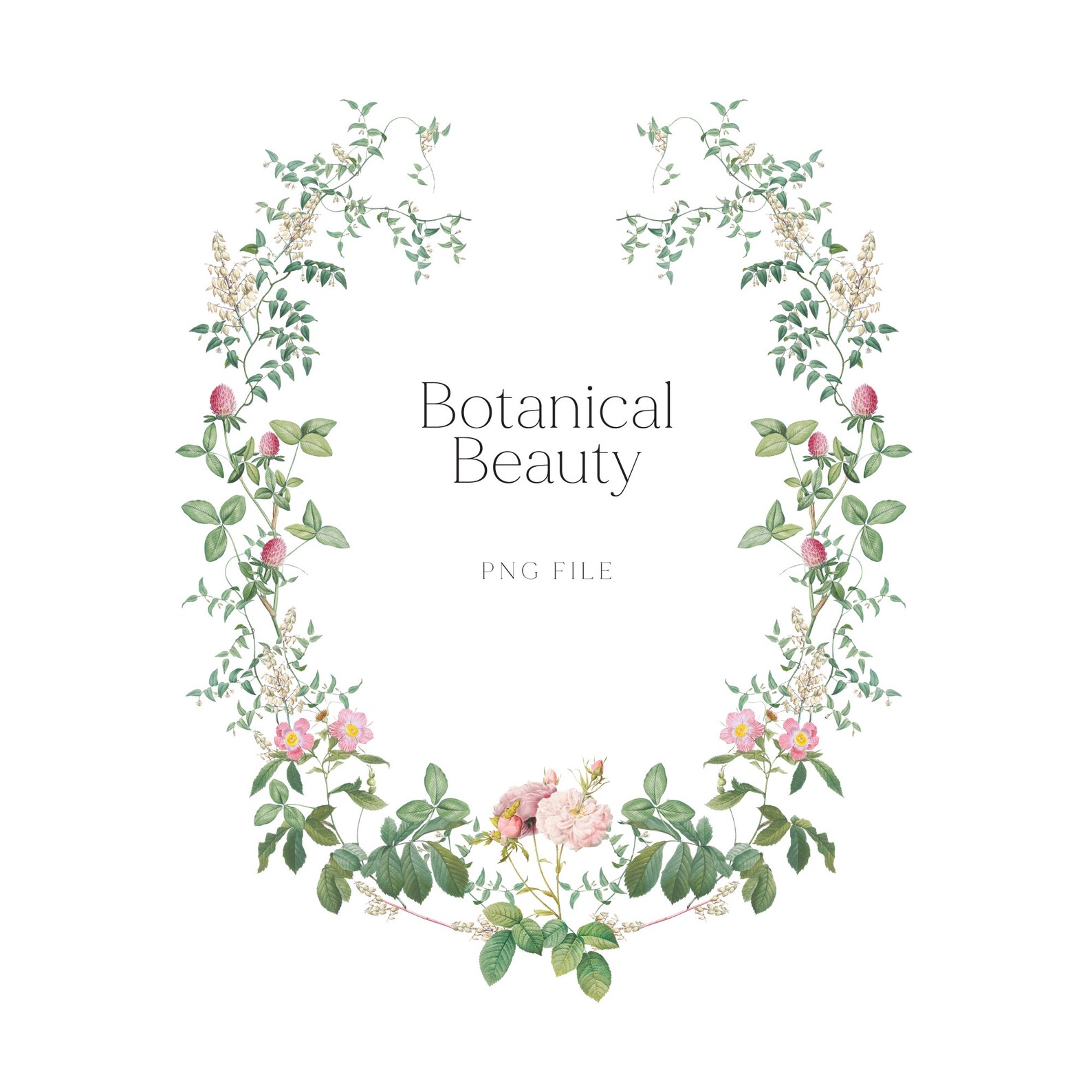 Botanical Frame Clip Art PNG Flowers Leaves Foliage Border Leaf Rose ...