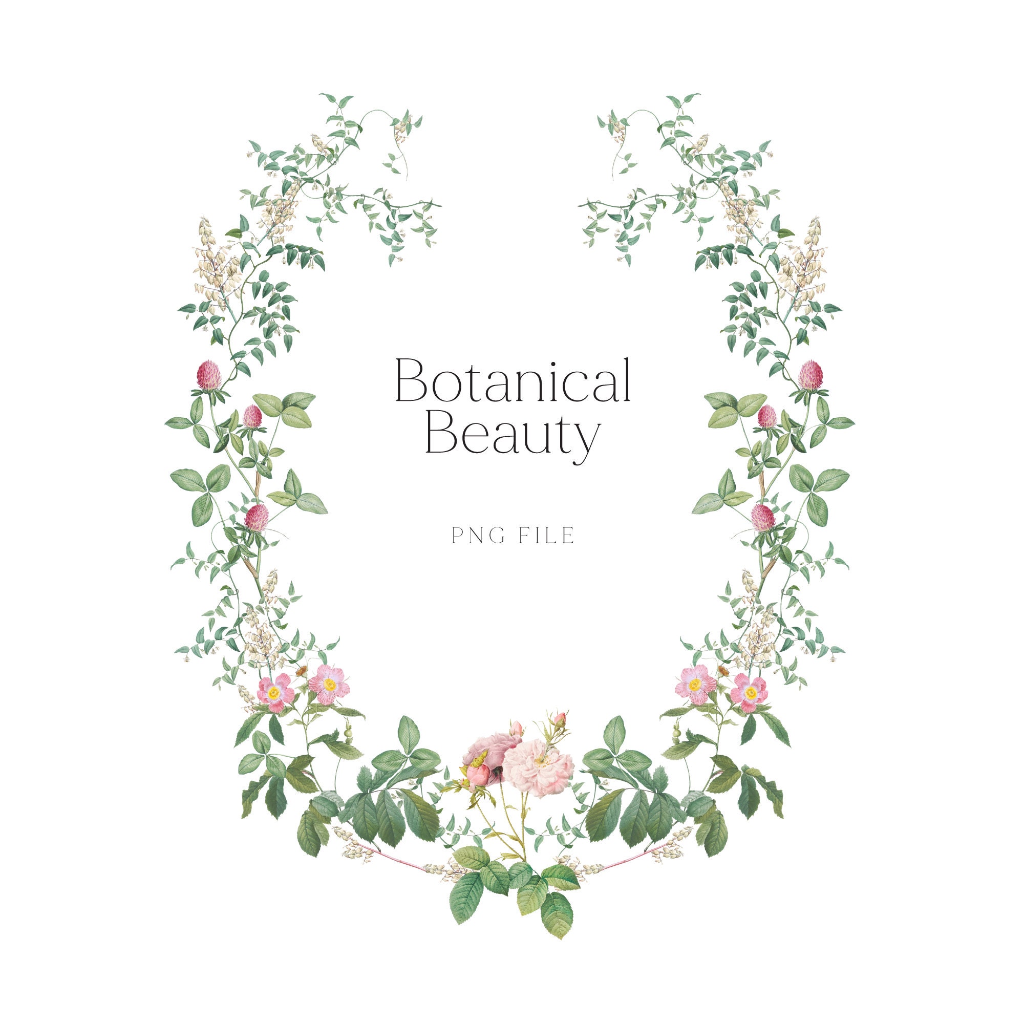 Botanical Frame Clip Art PNG Flowers Leaves Foliage Border Leaf Rose ...