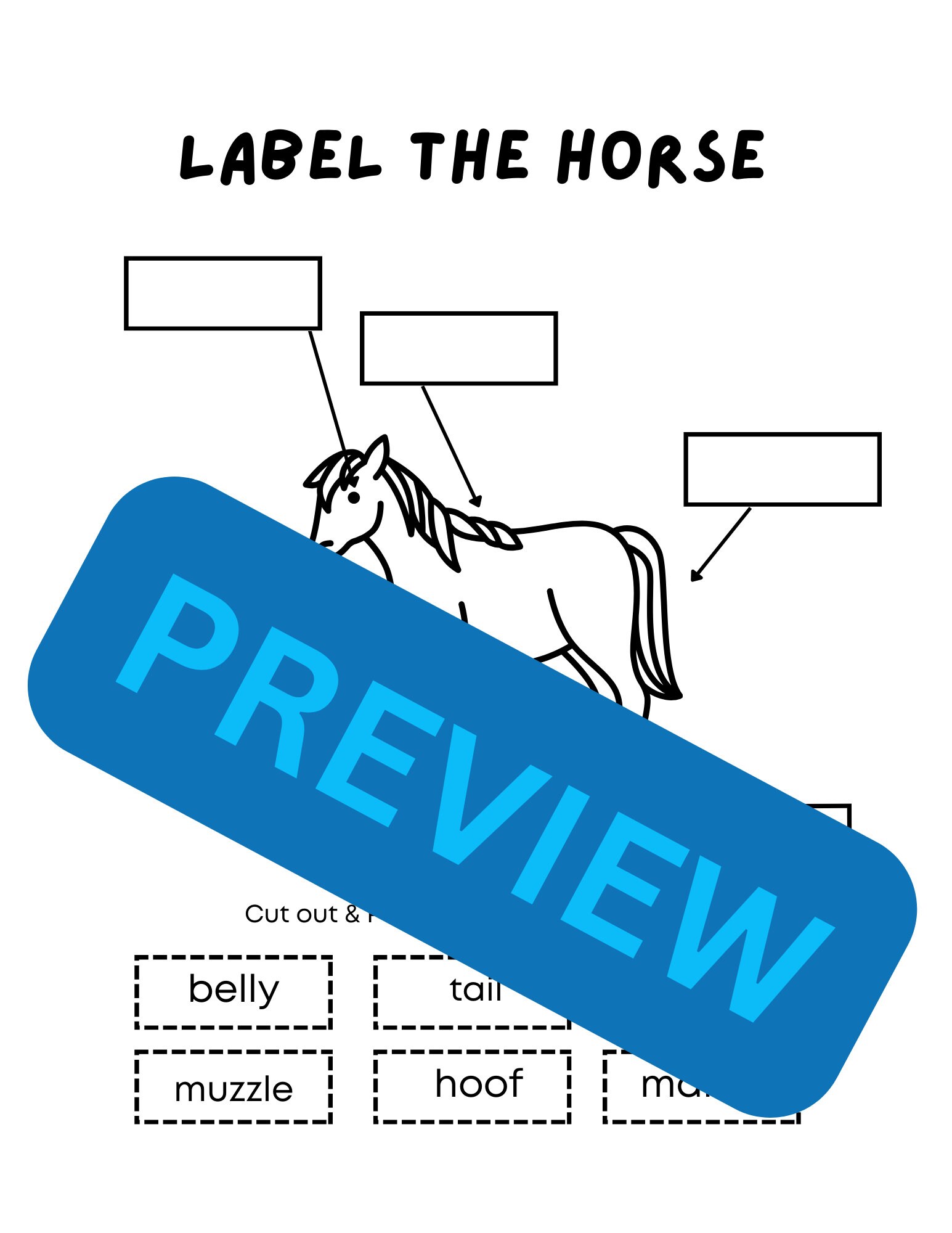 Homeschool Printables Worksheets Horses Primary - Etsy