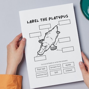 Homeschool Printables Worksheets Platypus Primary Australian Animals - Etsy