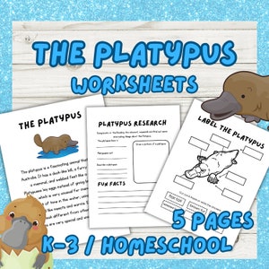 Homeschool Printables Worksheets Platypus Primary Australian Animals - Etsy