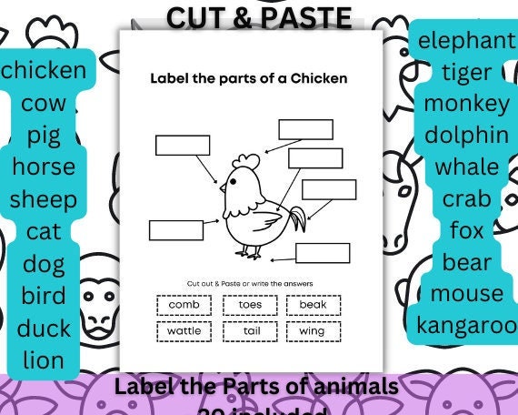 Label Animal Parts