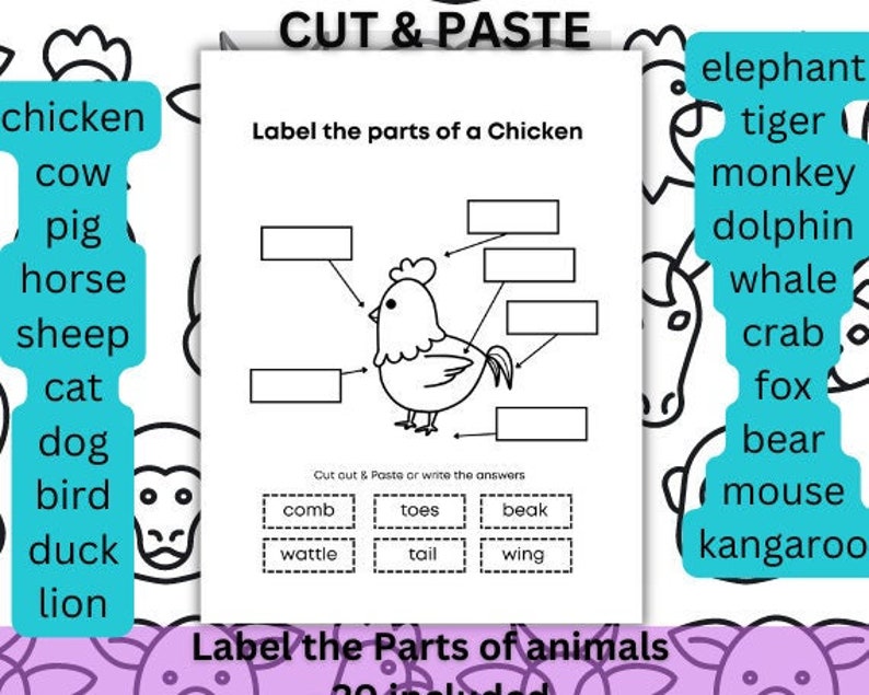 Label the Parts of the Animals Cut and Paste Worksheet Activity for ...