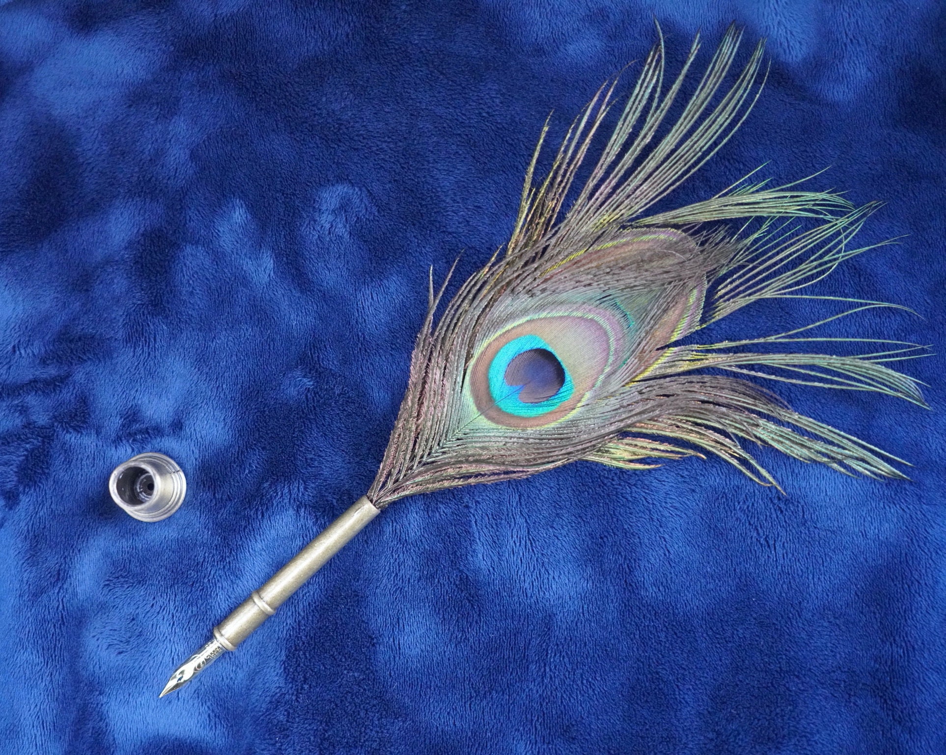 Peacock Feather Pen