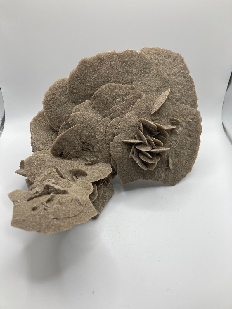 Desert Rose Selenite Gypsum - Etsy