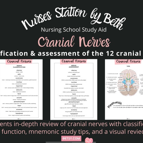 Cranial Nerves & Functions Nursing Review Digital Download - Etsy