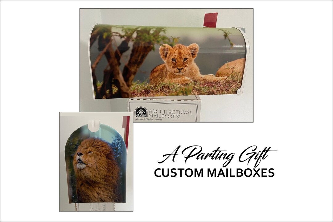 Lion and Lion Cub Custom Mailbox Fathers Day Gift Personalized Gift ...