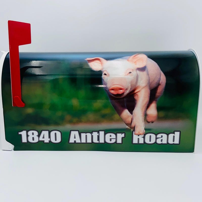 Pig Mailbox - Etsy