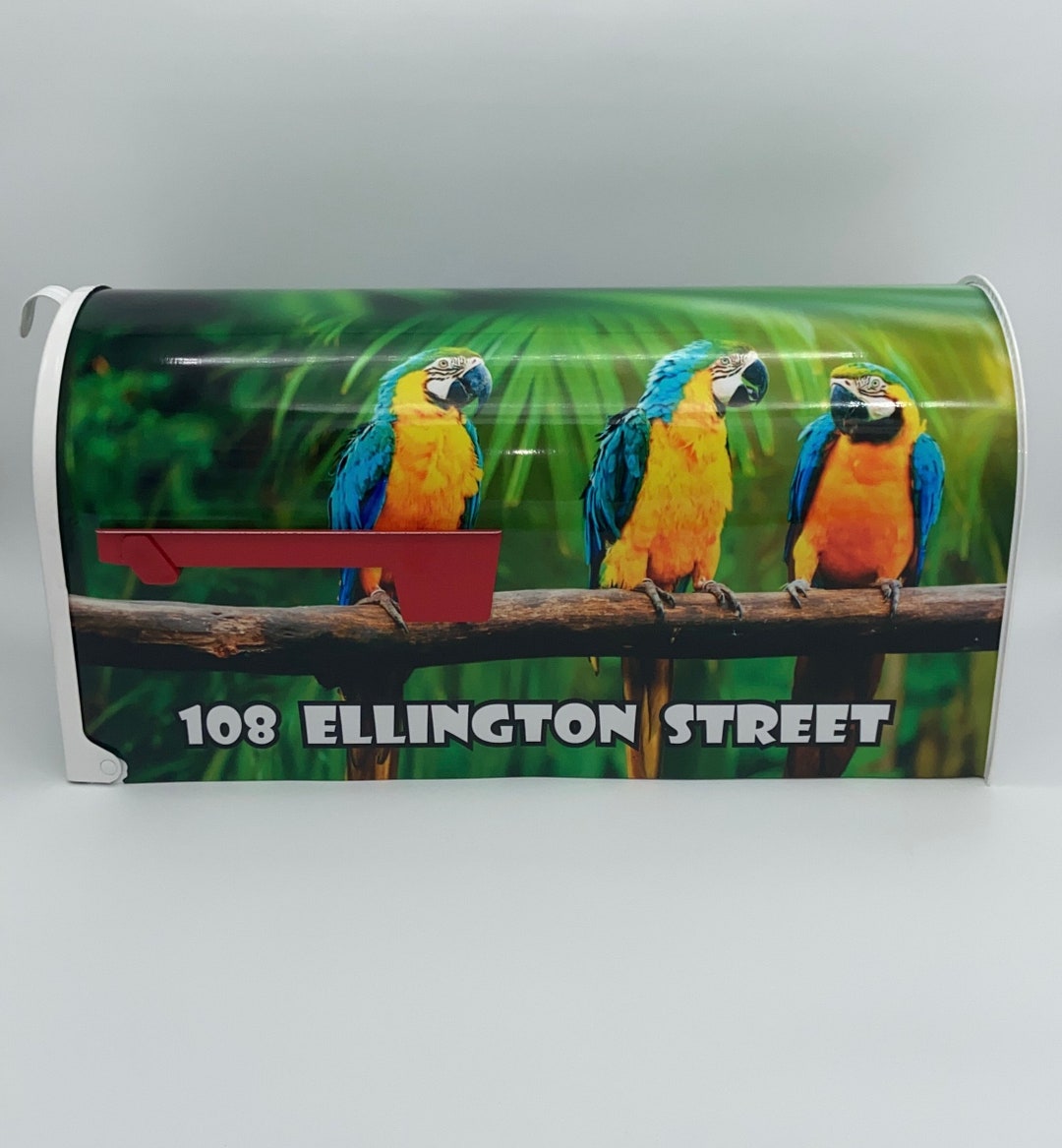 Customized Parrot Mailbox, Parrots Gifts Unique, Gift for Grandparents ...