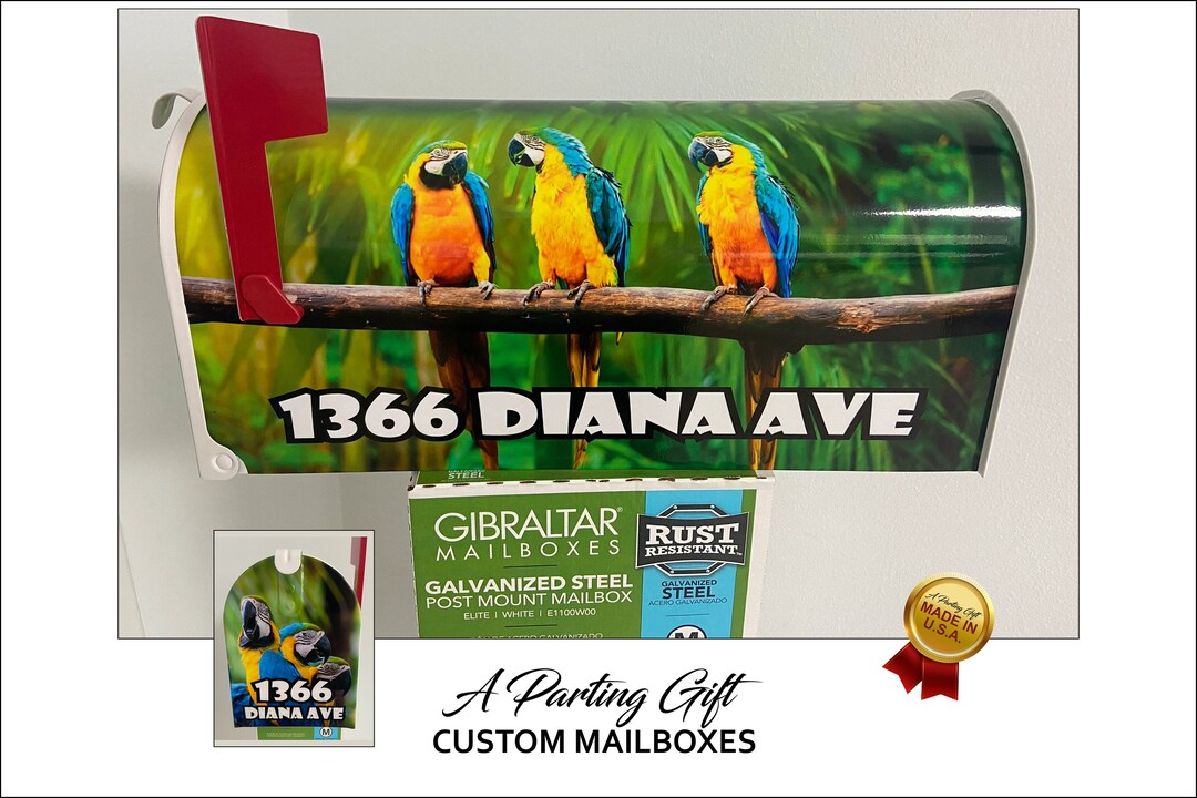 Parrot Macaw Custom Mailbox Fathers Day Gift Personalized Homemade Gift ...