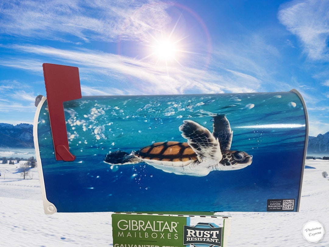 Baby Sea Turtle Custom Mailboxes. Personalized Gift. Trusted - Etsy