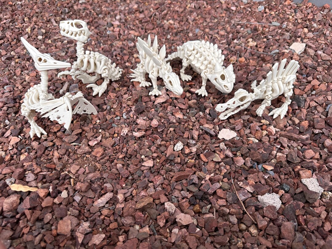 3D Printed Dinosaur Skeletons: Flexi Factory Articulated Model - Etsy