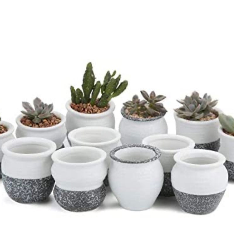 Mini Ceramic Pots - Etsy