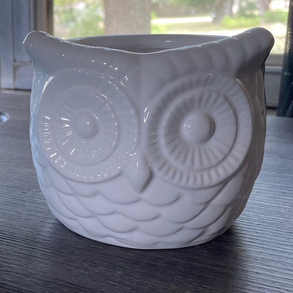 Owl Flower Pot - Etsy