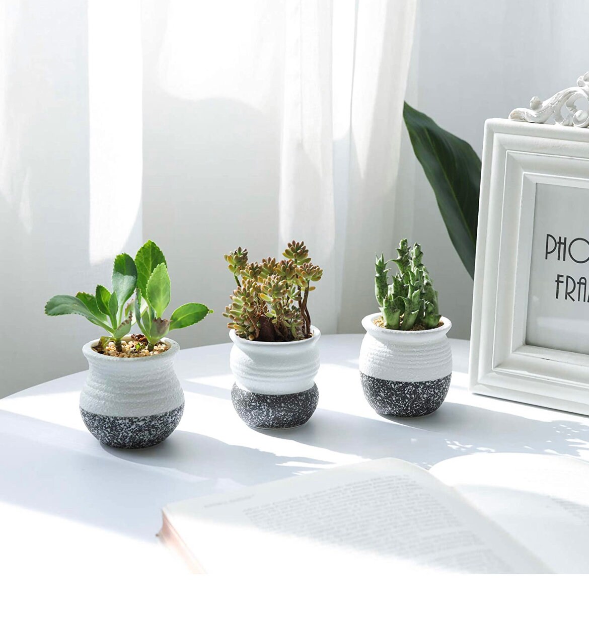 Set of 3 Mystery 2.5 in Small Ceramic/succulent Planter Pots/drainage ...