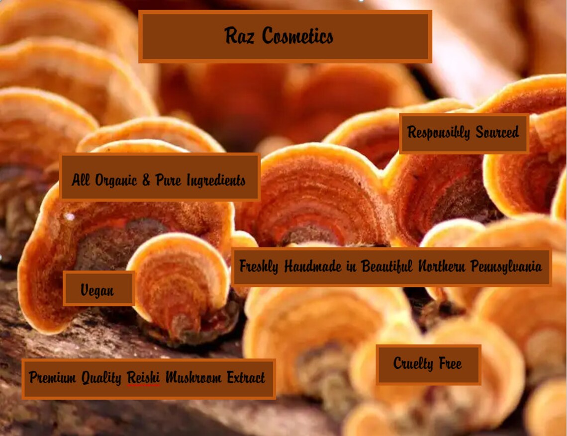 Mushroom Powder Foundation Makeup Medium - Etsy