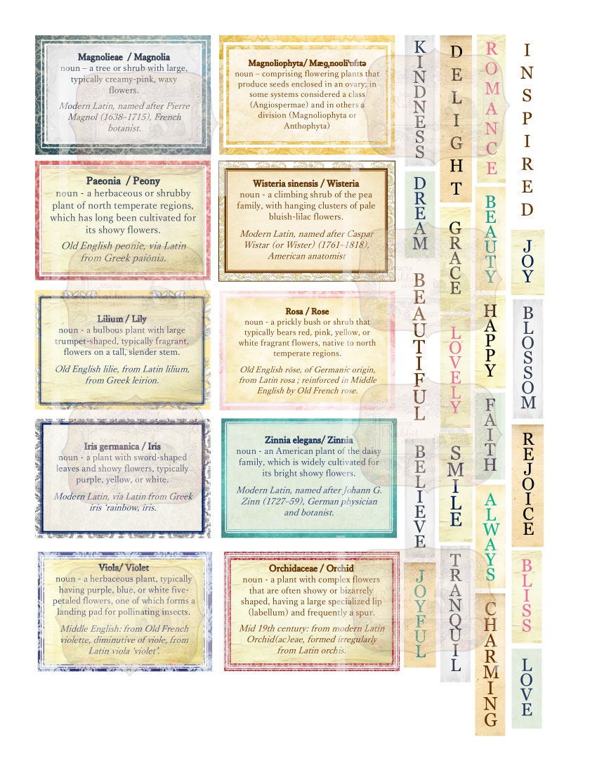 Flower Labels Kit - 141 Printable Labels, Includes: Latin Name ...