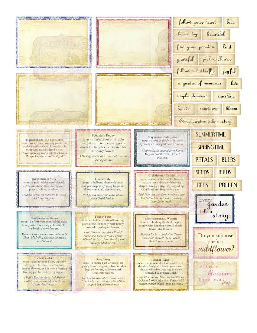 Flower Labels Kit - 141 Printable Labels, Includes: Latin Name ...