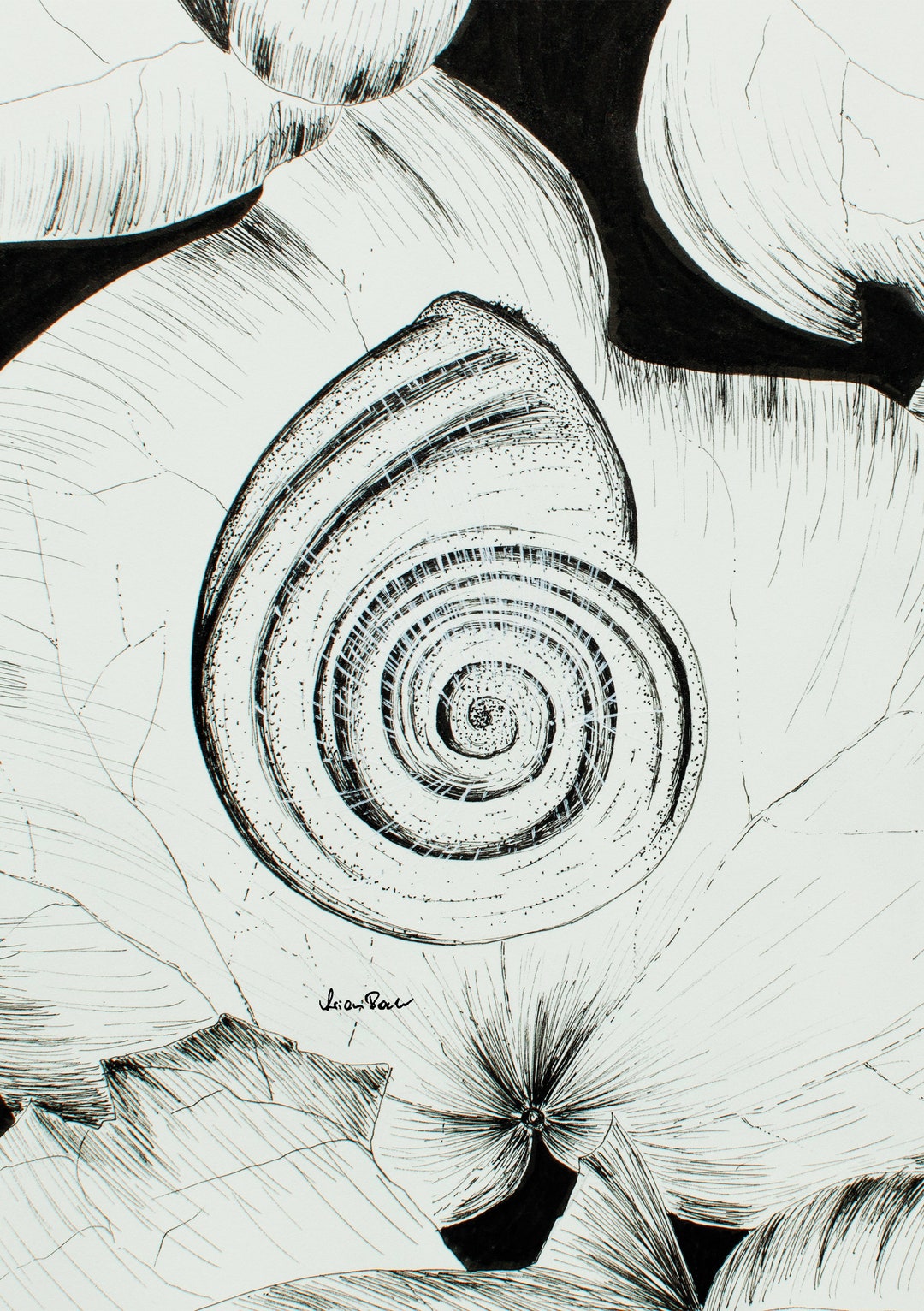 DIGITAL DOWNLOAD Ink Drawing Snail House on Leaves in Black - Etsy