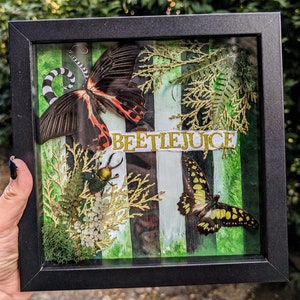 Beetlejuice Themed Shadowbox With Electric Green Swordtail Butterfly ...
