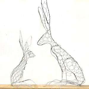 Make Your Own Wire Hare Sculpture PDF Illustrated Step-by-step ...