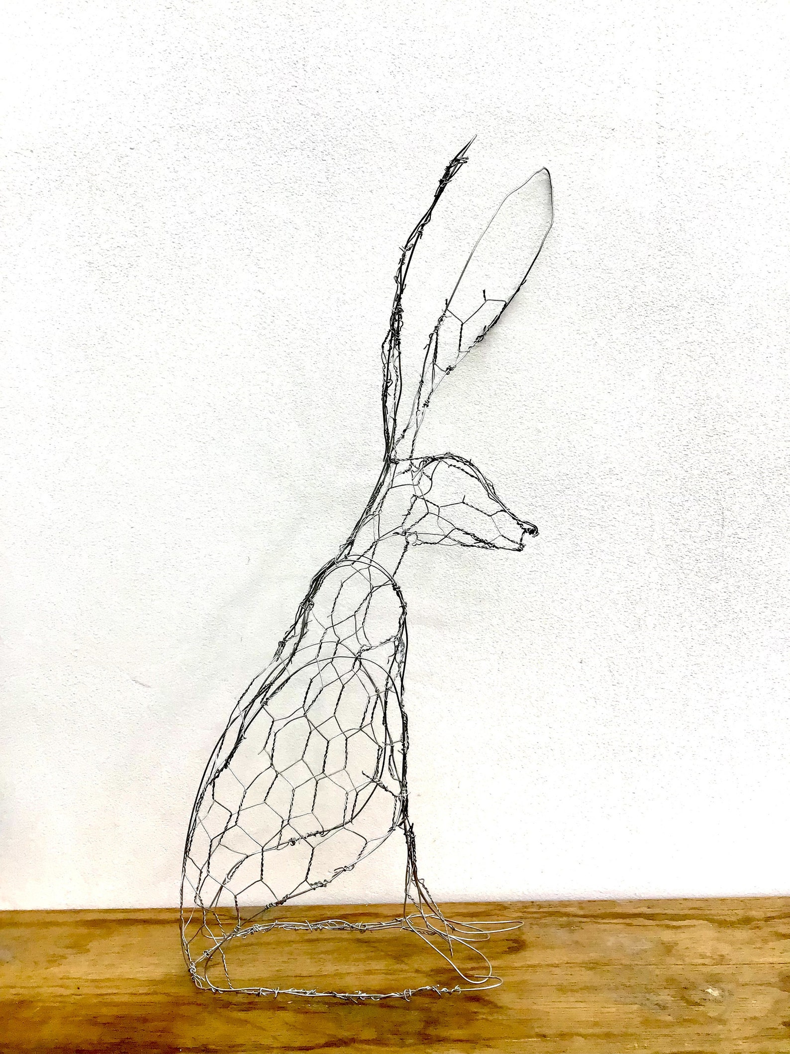 Wire Hare Sculpture DIY Instructions: Illustrated PDF Guide (digital ...
