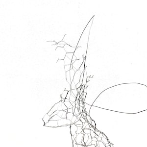 Make Your Own Wire Hare Sculpture PDF Illustrated Step-by-step ...