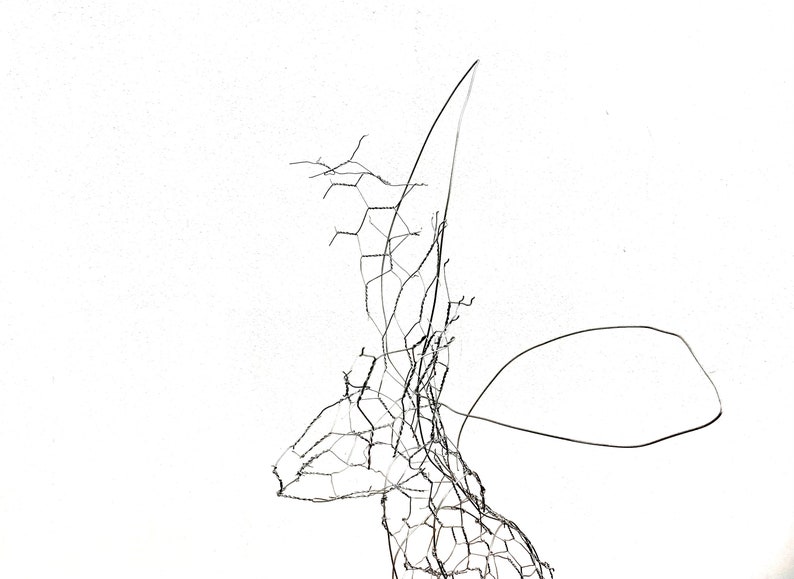 Wire Hare Sculpture DIY Instructions: Illustrated PDF Guide (digital ...