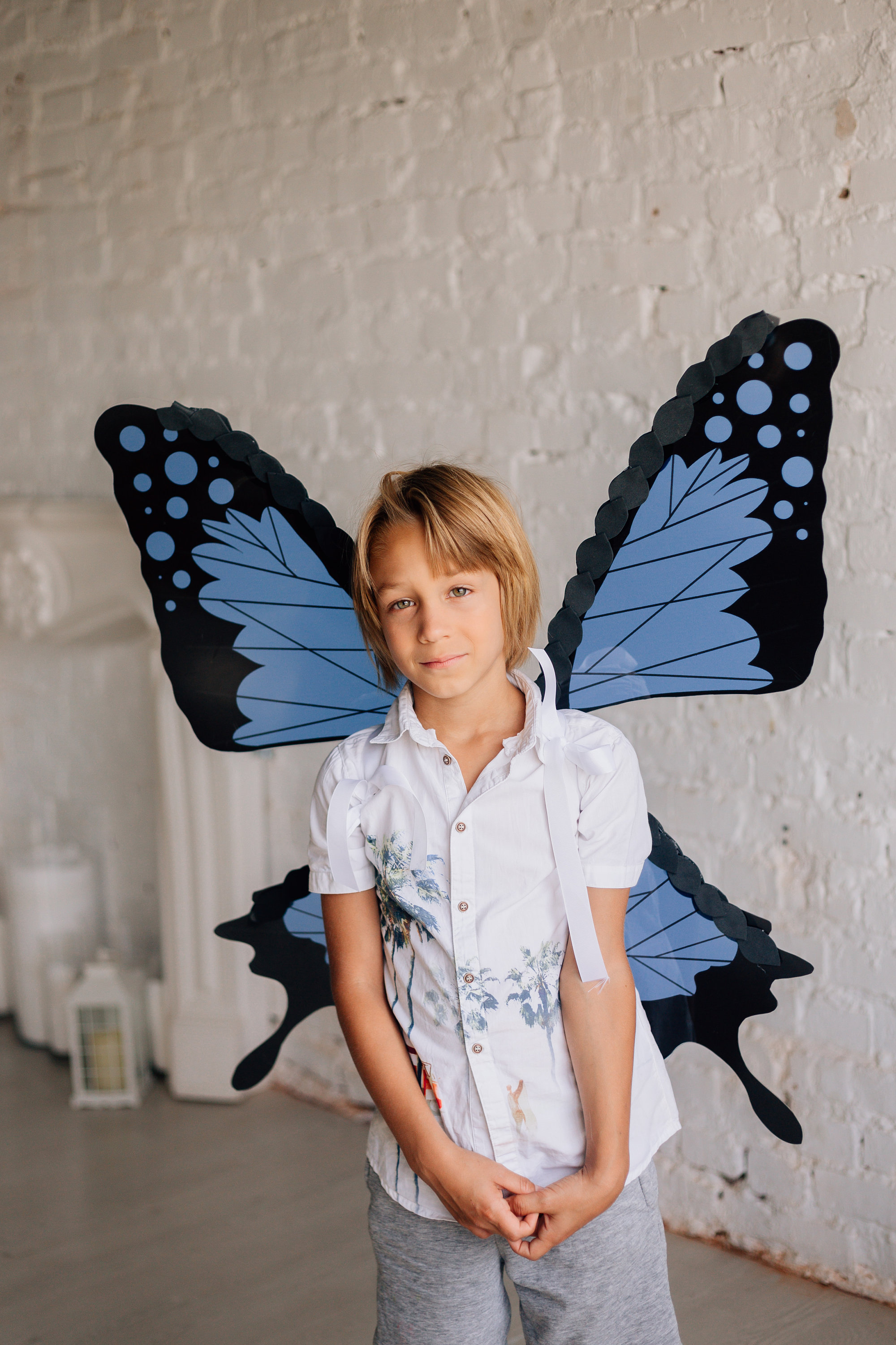 Giant Butterfly Wings Costume