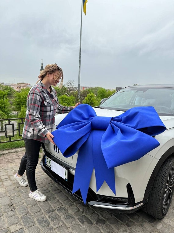 Giant car bow store