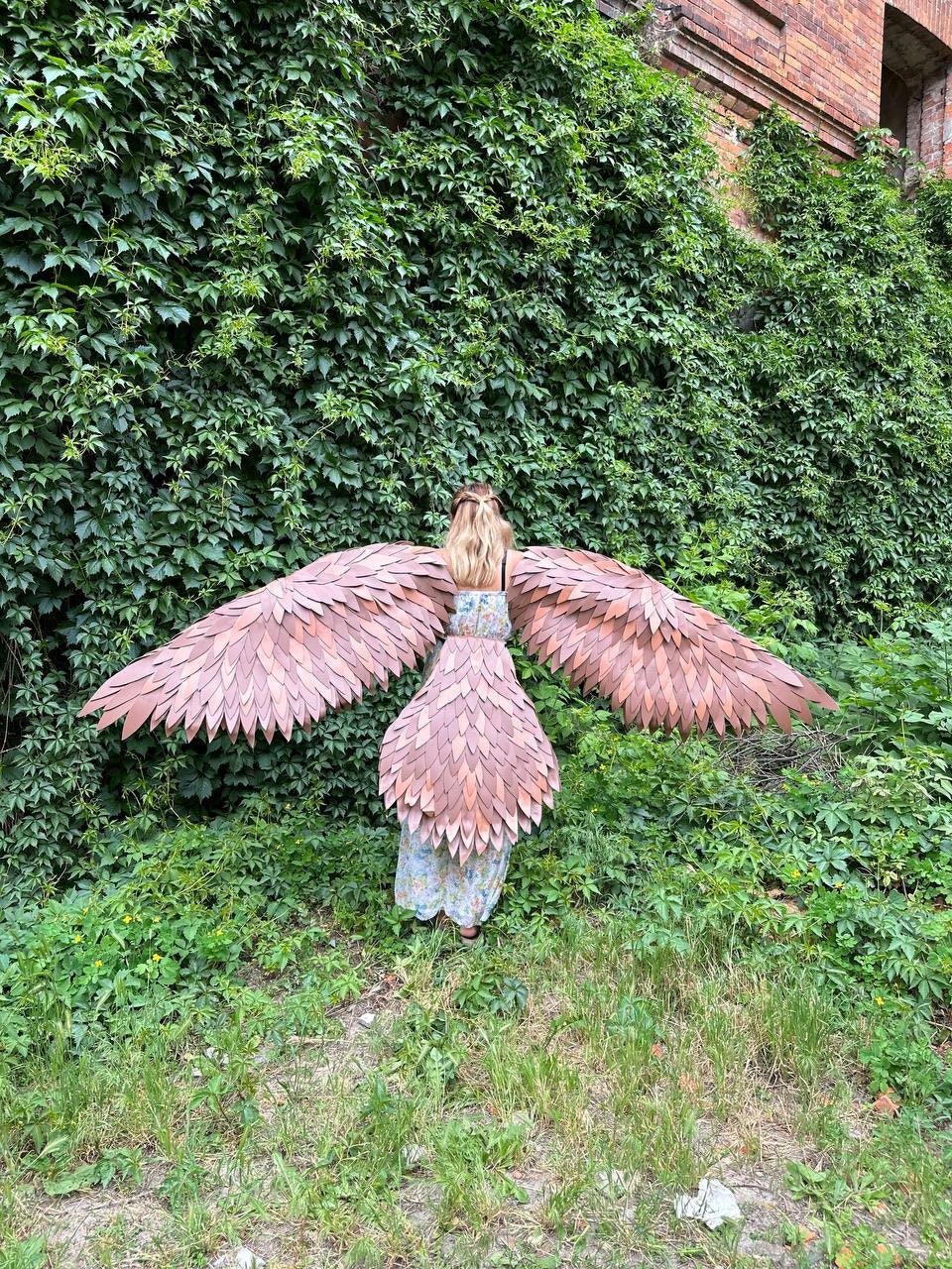 Wings and Tail Brown Bird Costume Cosplay Costume for Adults, Halloween ...