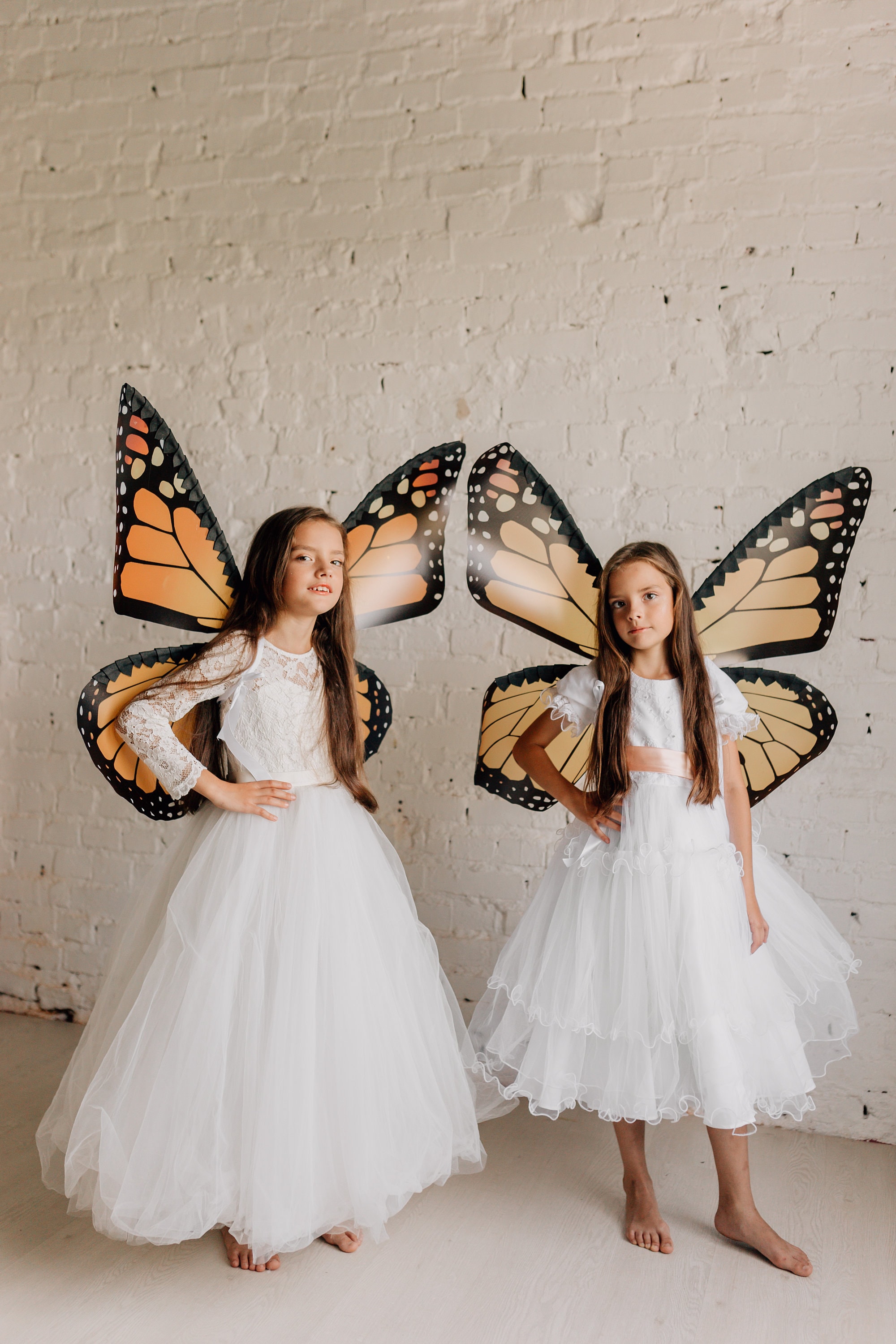 Adult Butterfly Costume