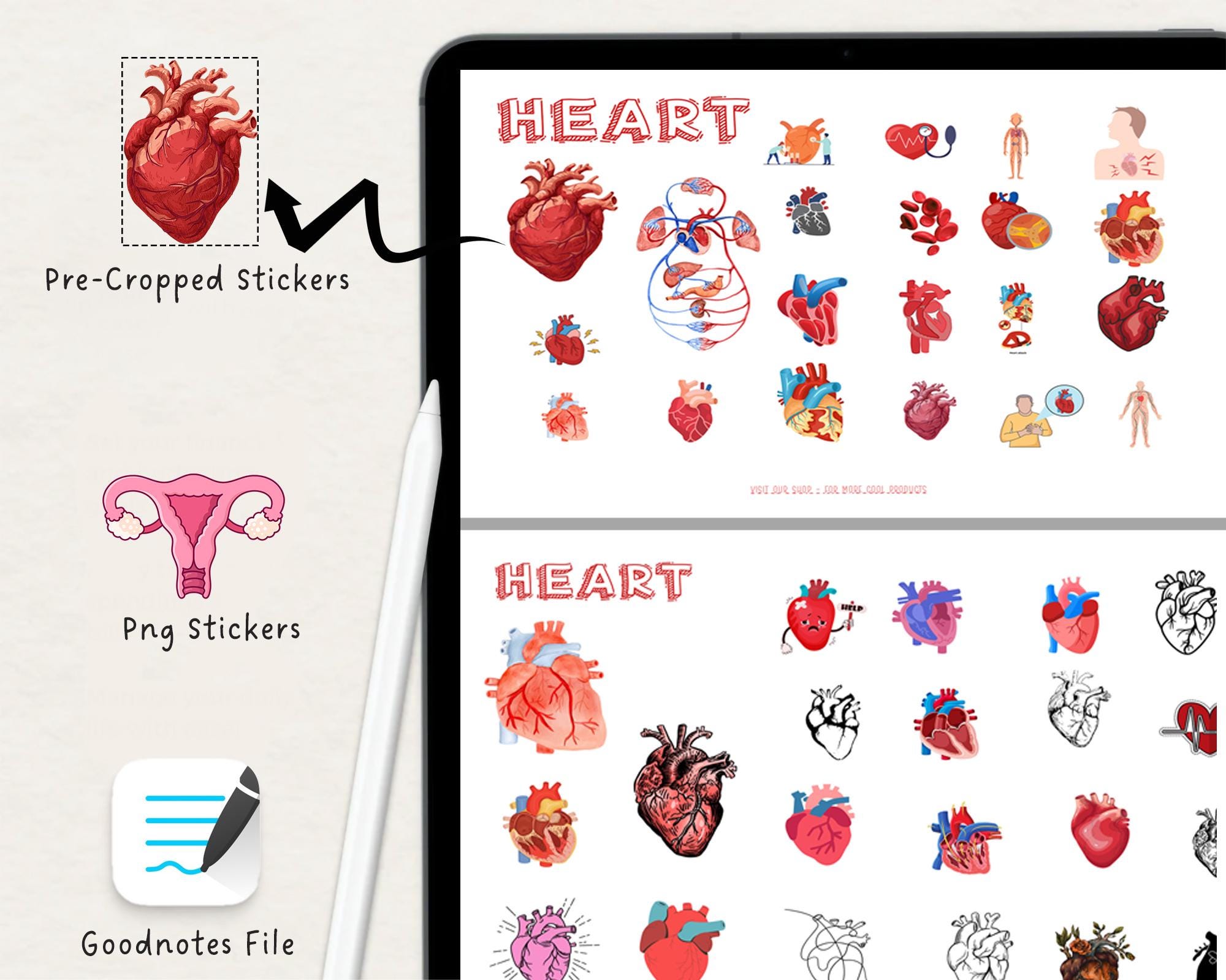 3600 + Biology Digital Stickers, Biology & Anatomy Digital Stickers ...