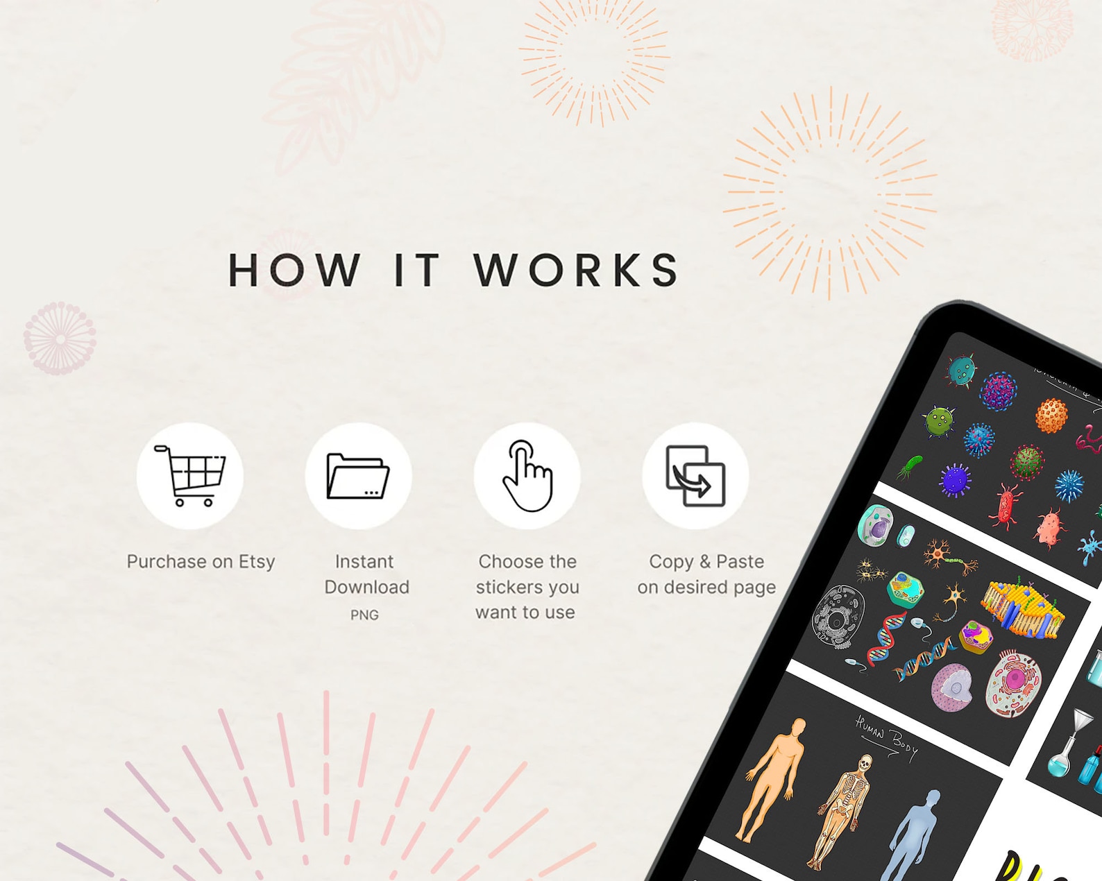 600+ Biology Anatomy Stickers Bundle, Lab, Anatomy Organ, Digital ...