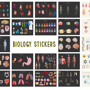 600+ Biology Anatomy Stickers Bundle, Lab, Anatomy Organ, Digital ...