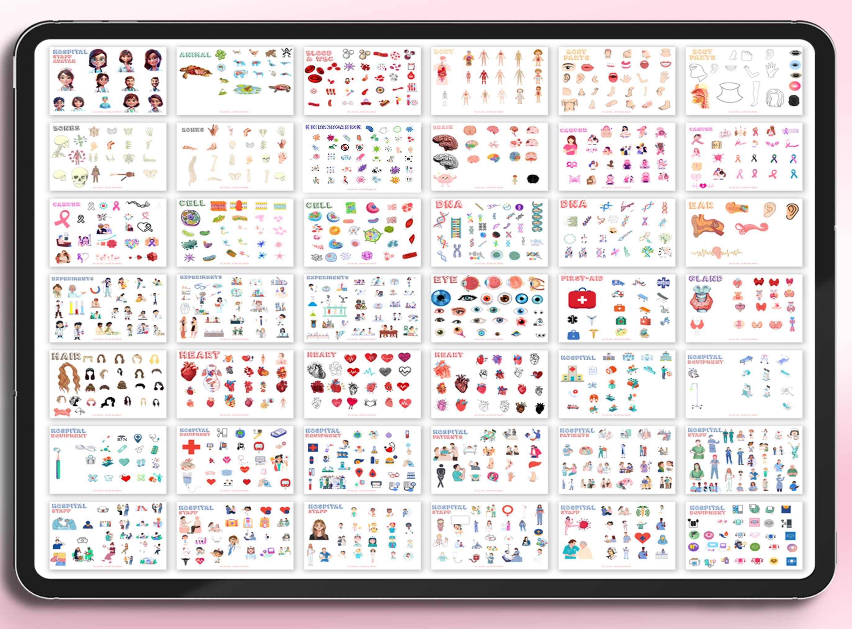 3600 + Biology Digital Stickers, Biology & Anatomy Digital Stickers ...