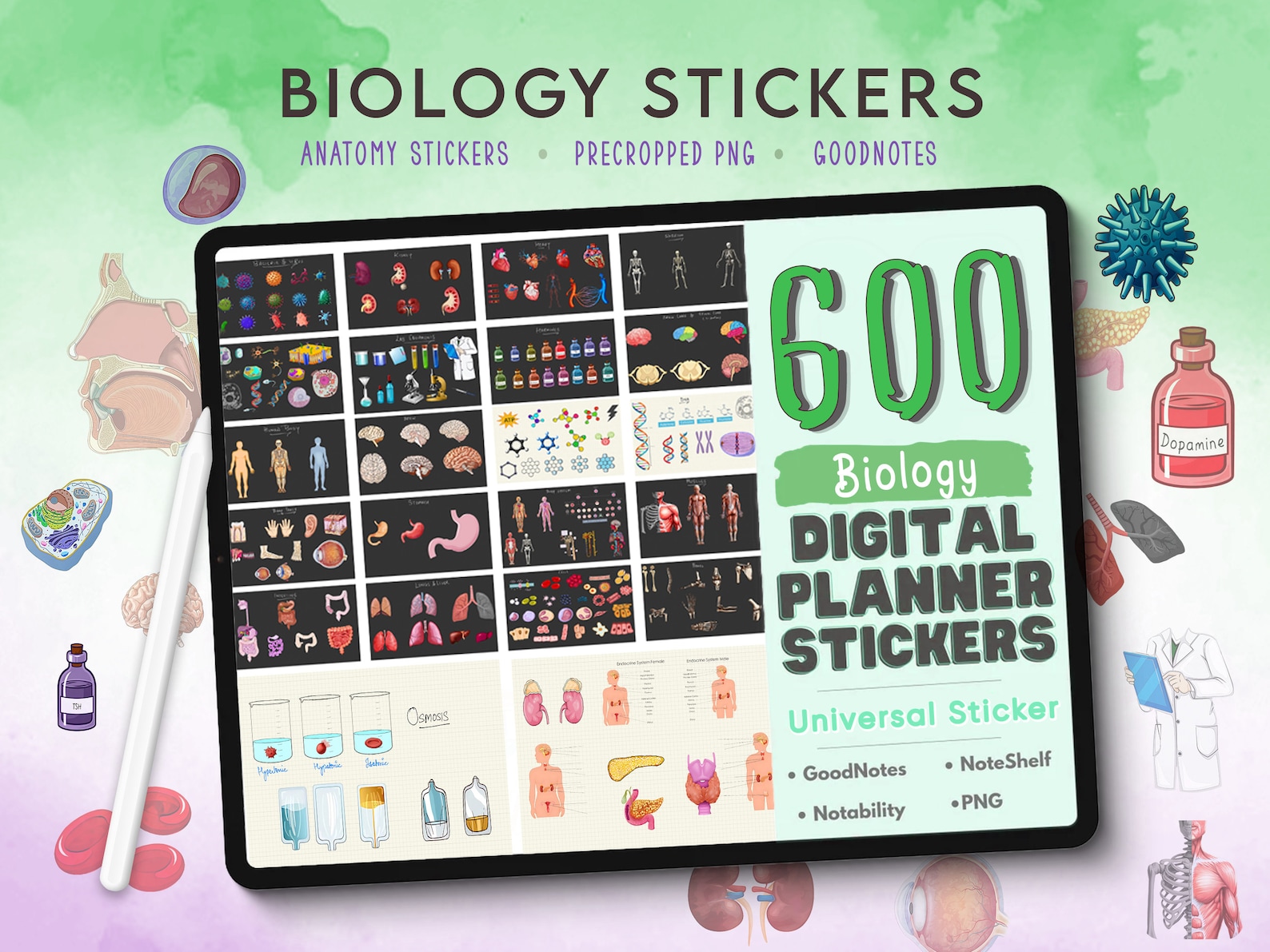 600+ Biology Anatomy Stickers Bundle, Lab, Anatomy Organ, Digital ...